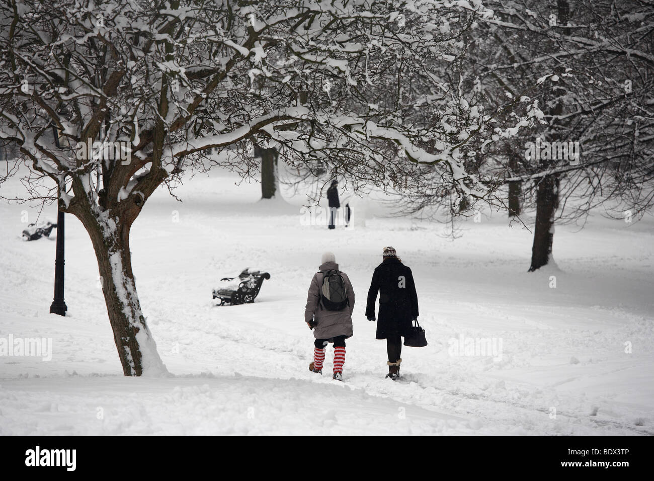Cold london park scenic hi-res stock photography and images - Alamy
