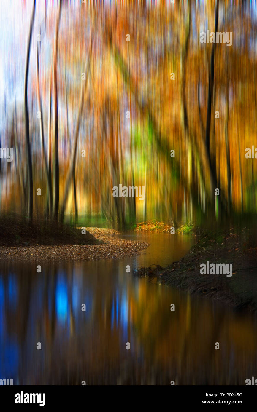 English countryside with autumn colours. A view upstream in the New ...