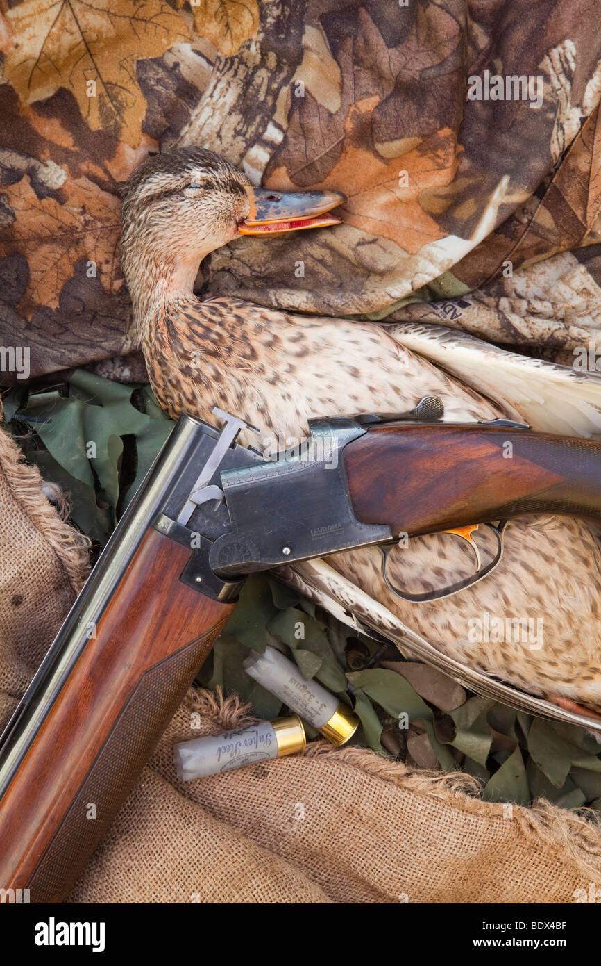 Duck shooting hi-res stock photography and images - Alamy