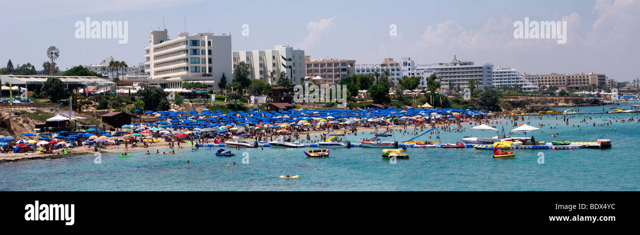 Fig tree bay hi-res stock photography and images - Alamy