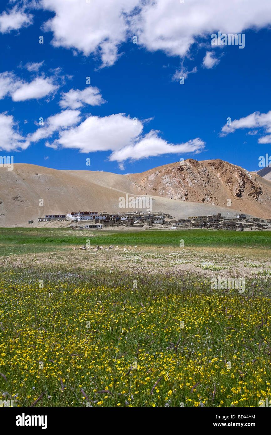 Korzok village. Ladakh. India Stock Photo - Alamy