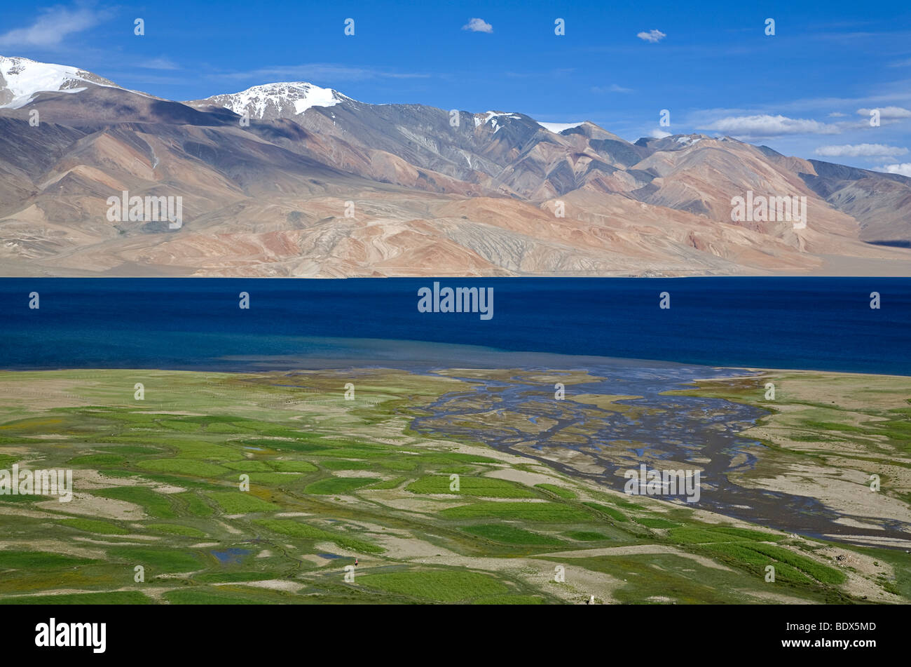 Tso Moriri Lake. Ladakh. India Stock Photo - Alamy