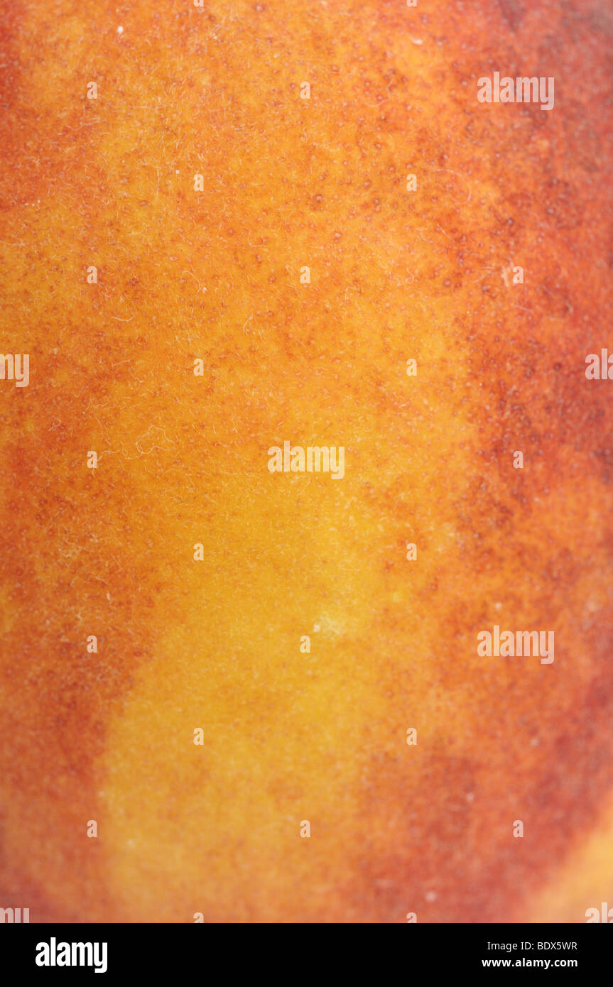 Peach Fruit Texture