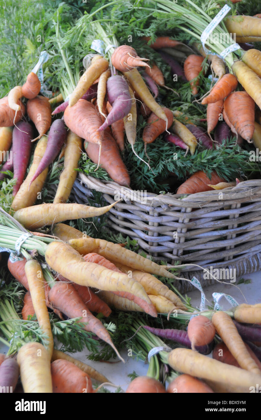 Freshly Picked Carrots on Display for Sale Stock Photo - Alamy