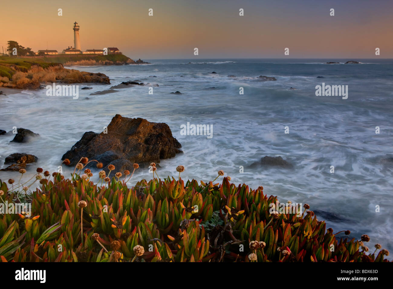 Pigeon Point Lighthouse, California Stock Photo - Alamy