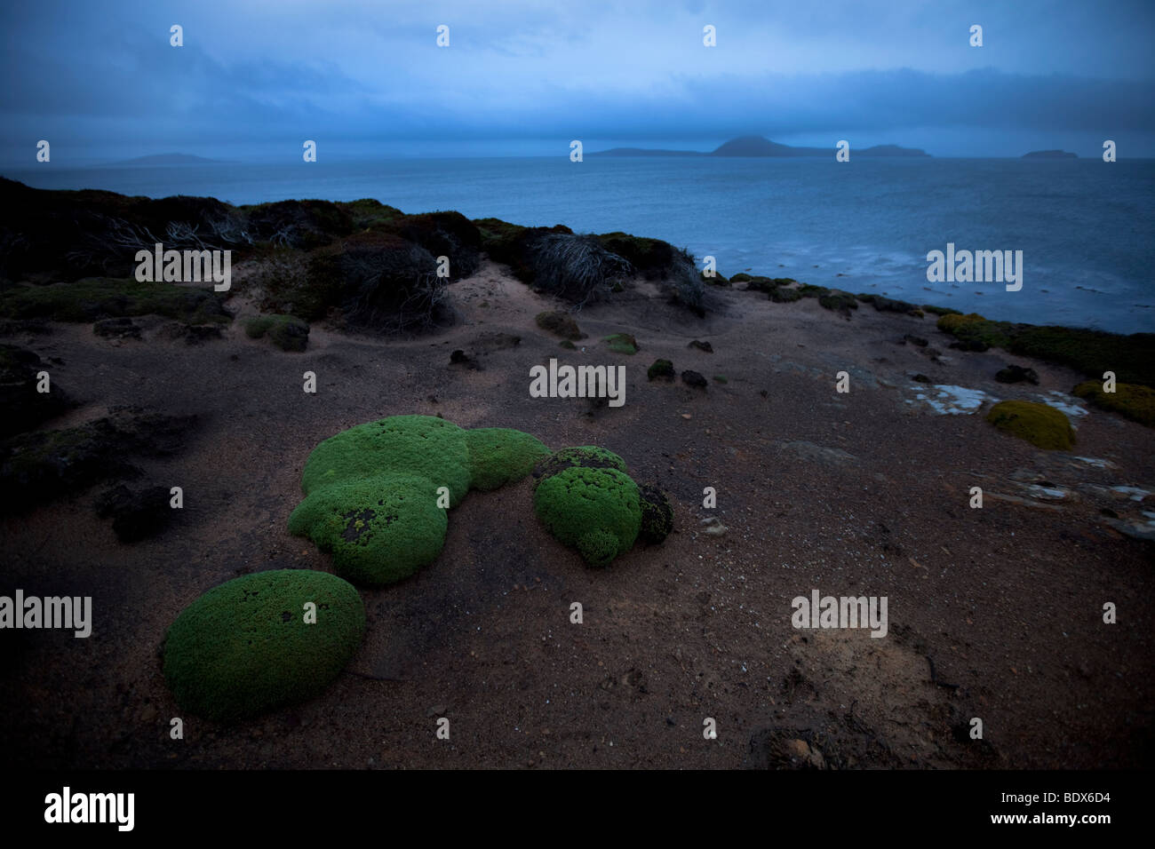 Winter evening at Roy Cove, West Falklands Stock Photo - Alamy