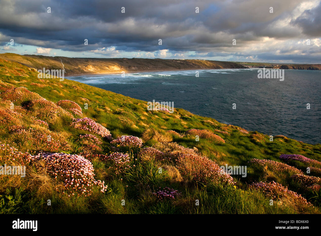 ligger point looking towards penhale sands; cornwall Stock Photo - Alamy