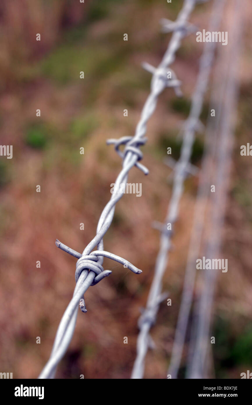 Barbed wire on fence hi-res stock photography and images - Alamy