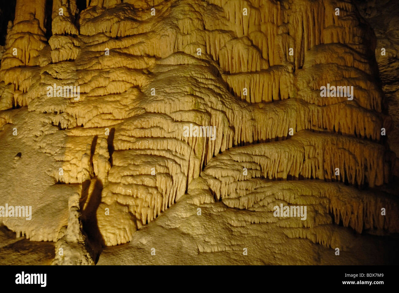 Inside the limestone cave, Postojna, Slovenia, Europe Stock Photo - Alamy