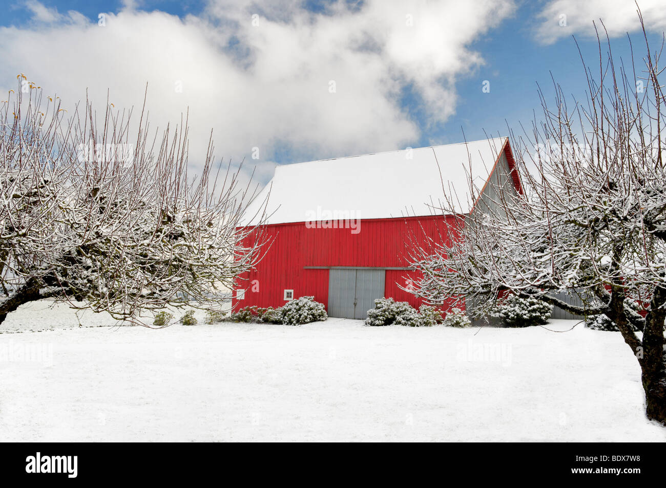 Frost covered barns hi-res stock photography and images - Alamy