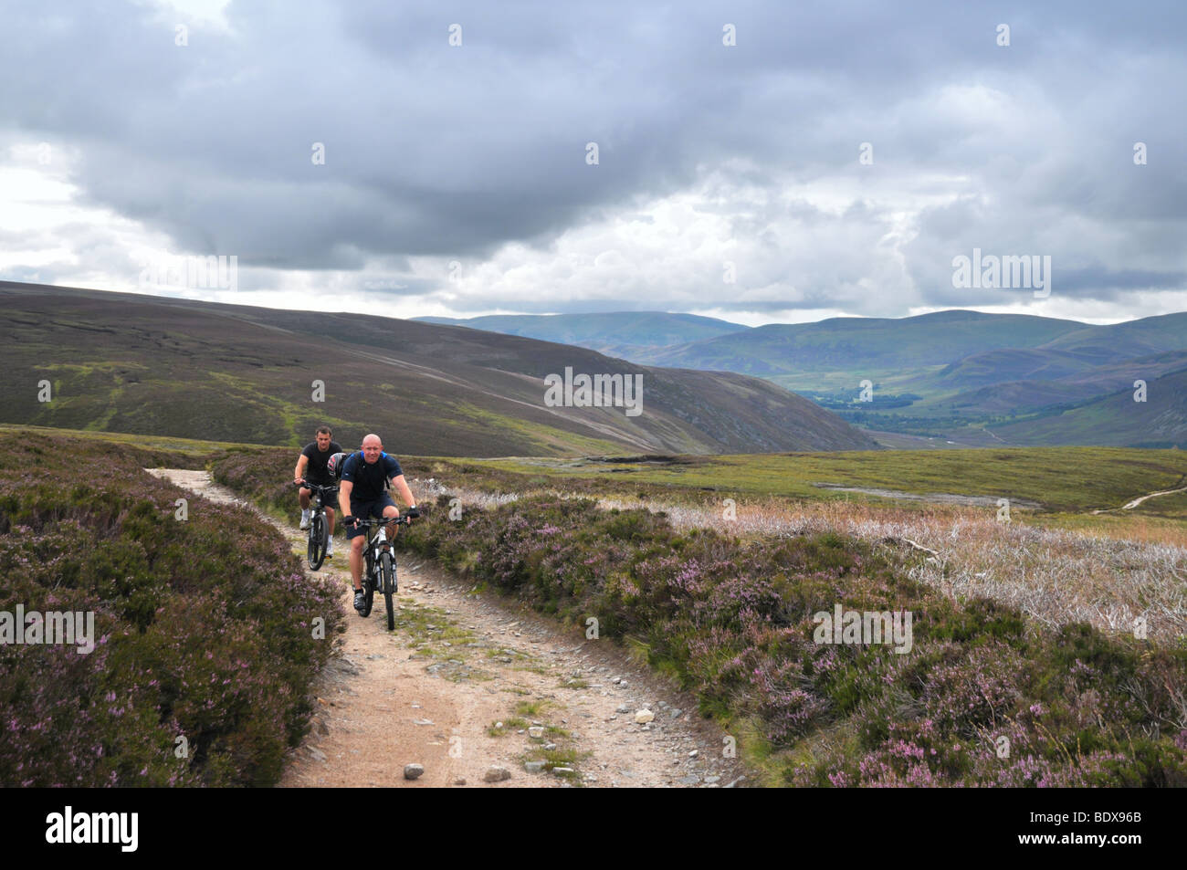 Two men on mountain bikes cycle up the track to Mount Keen, Glen Esk ...
