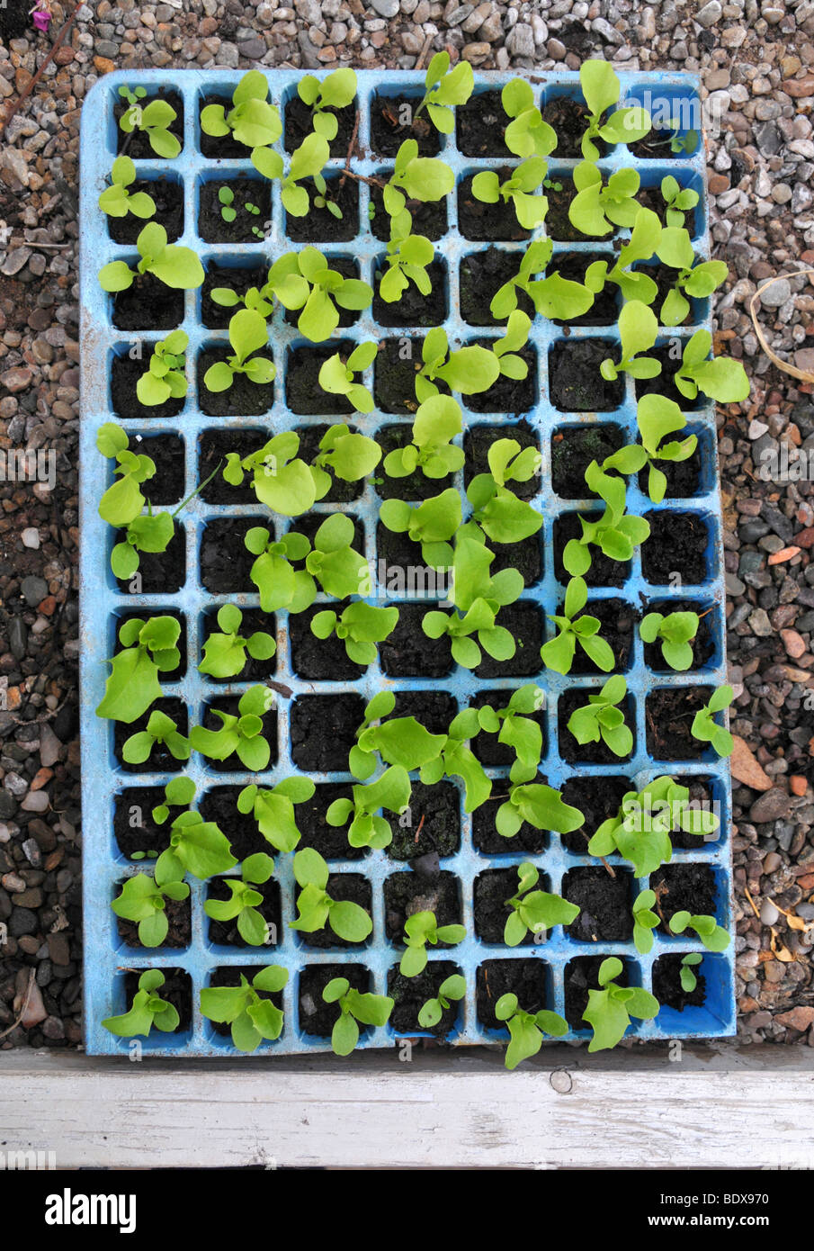 Modular hi-res stock photography and images - Alamy