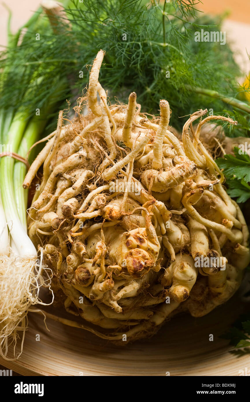 Dill root hi-res stock photography and images - Alamy