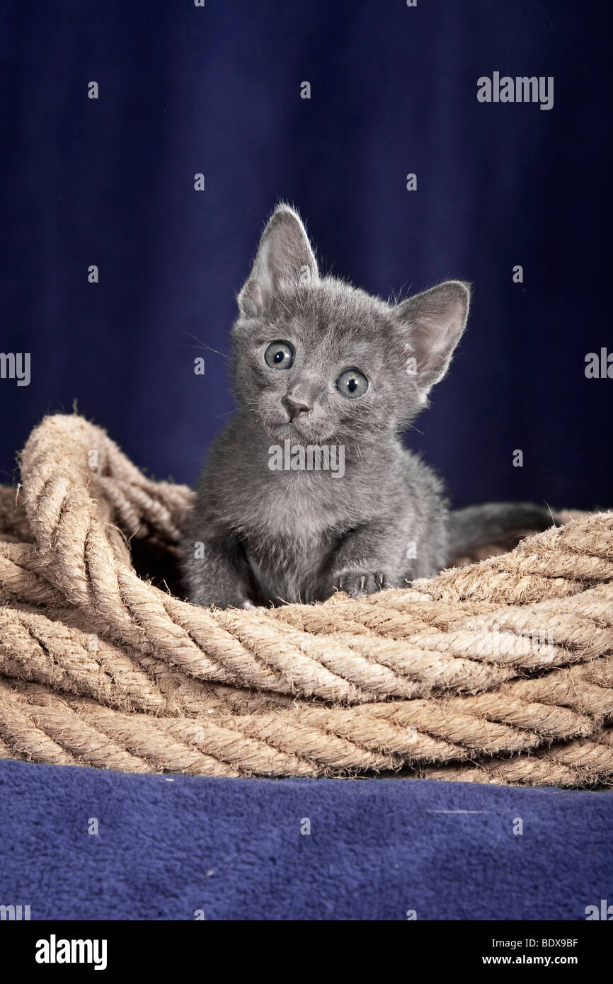 Inside indoor rope sitting hi-res stock photography and images - Alamy