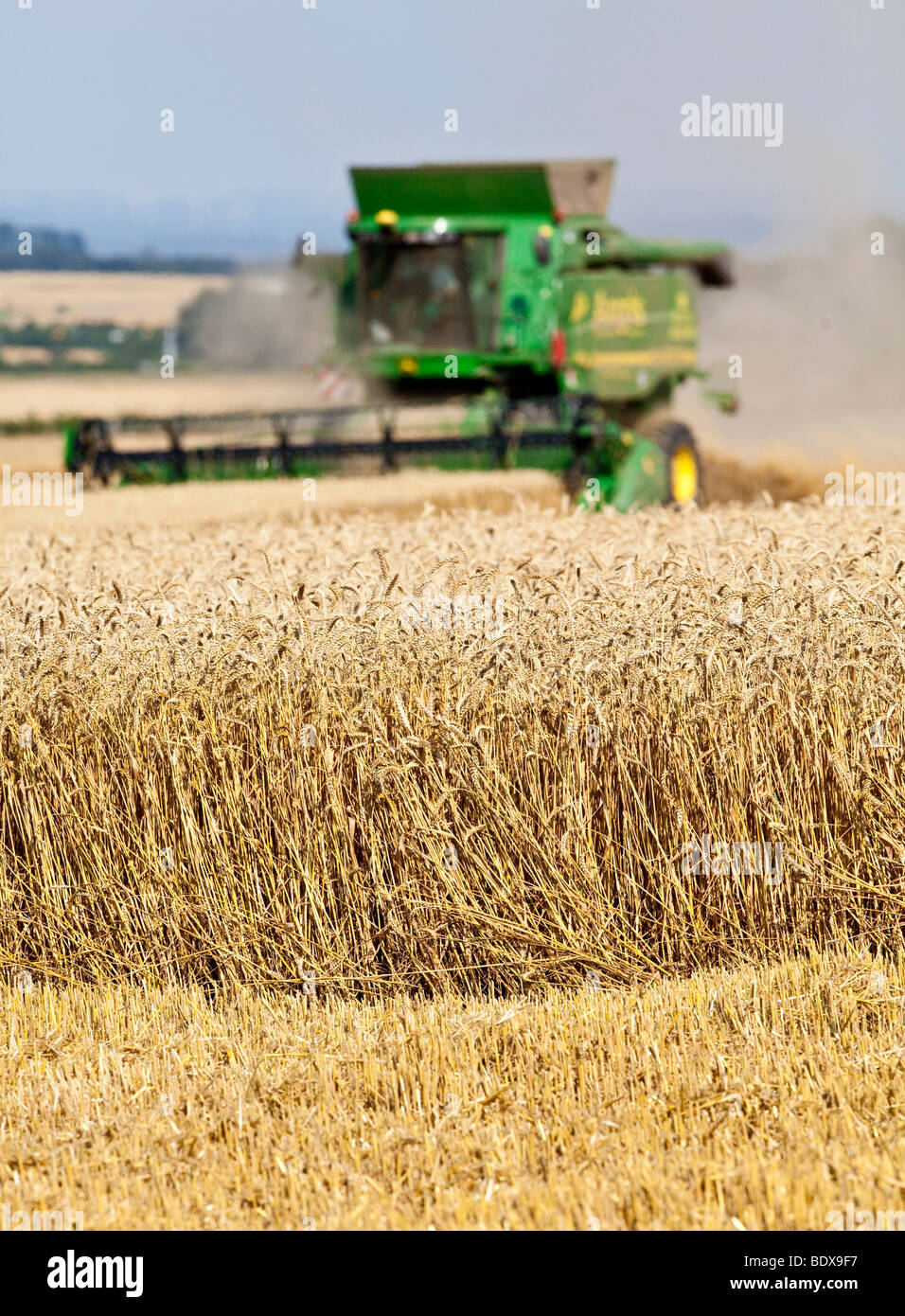 Processing wheat hi-res stock photography and images - Alamy