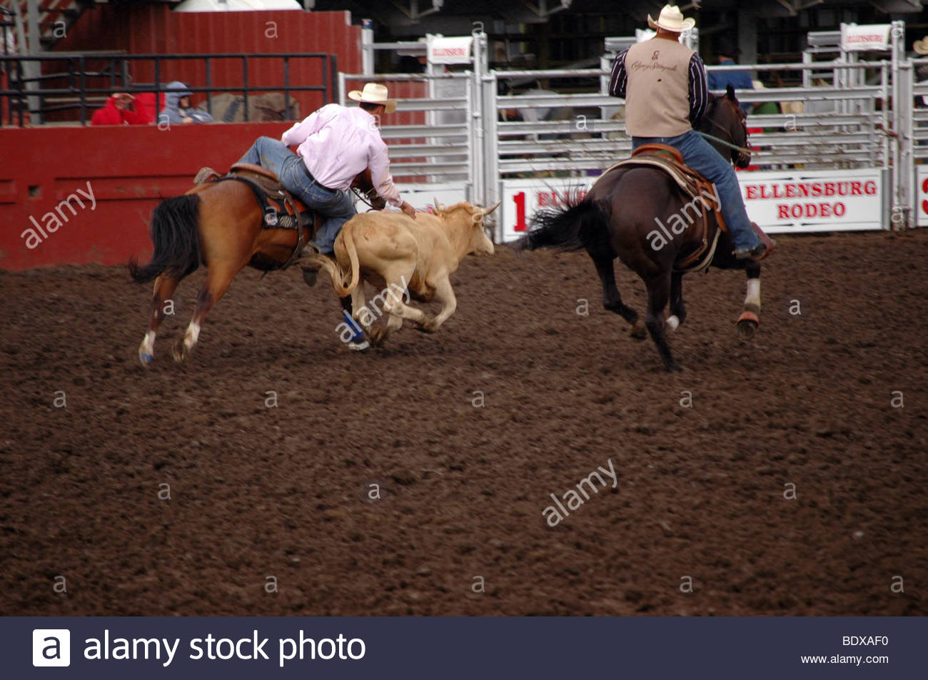 Bull Chasing Man Stock Photos & Bull Chasing Man Stock Images - Alamy