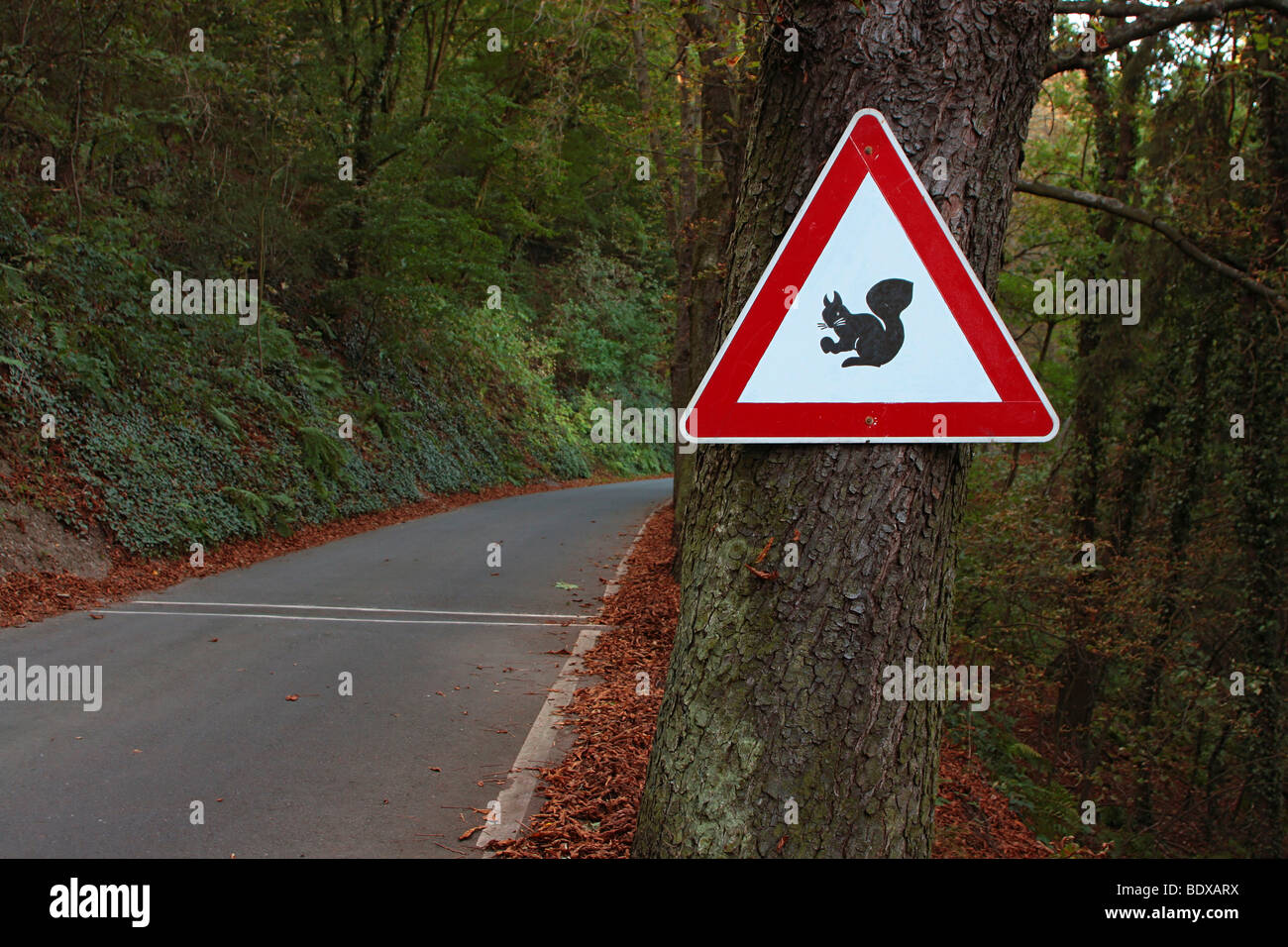 Red Triangle Warning Road Sign High Resolution Stock Photography and ...