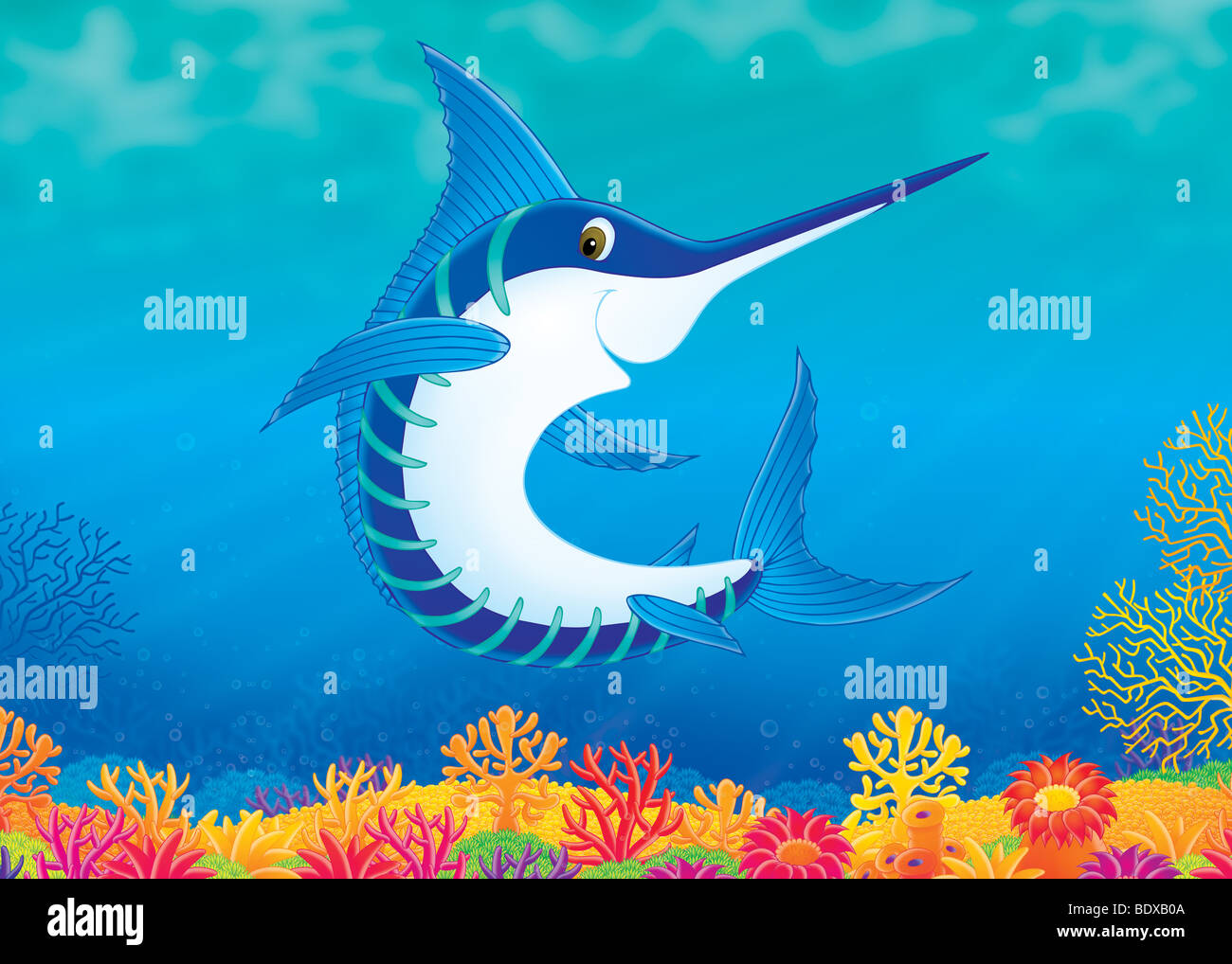 Fish sword fish hi-res stock photography and images - Alamy
