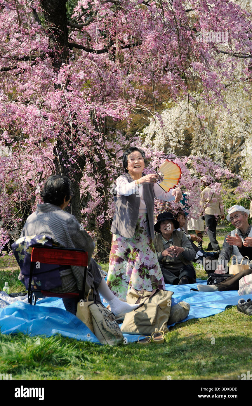 Feasting under cherry trees with a fan dance at the Kyoto Botanical ...