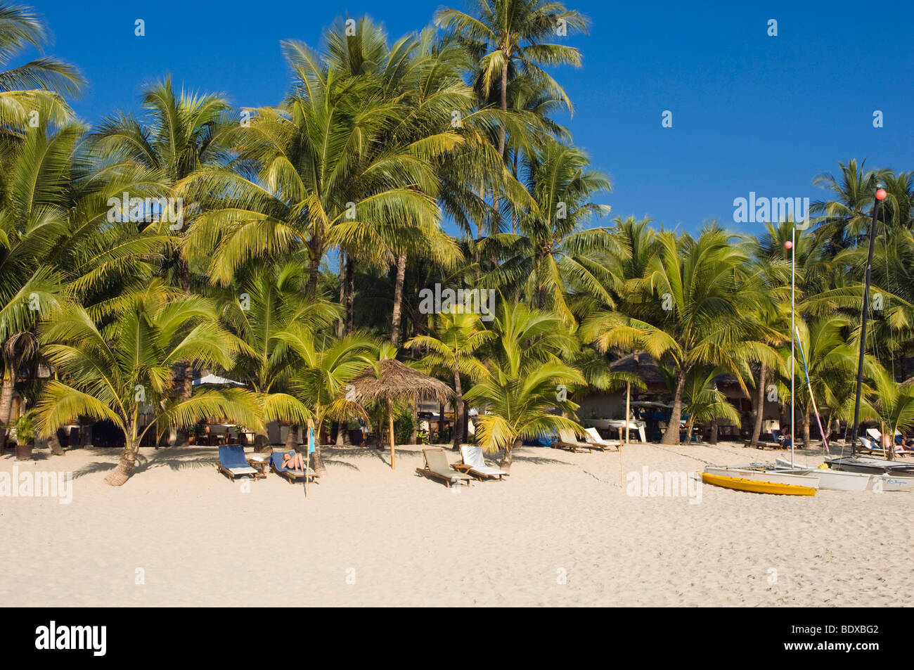 Palm beach, Ngapali Beach, Thandwe, Rakhine Coast, Bay of Bengal, Burma ...