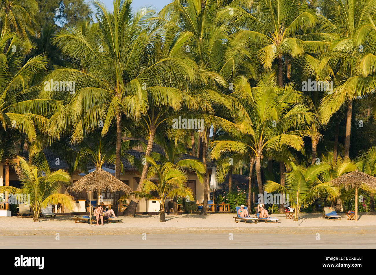 Palm beach, Ngapali Beach, Thandwe, Rakhine Coast, Bay of Bengal, Burma ...