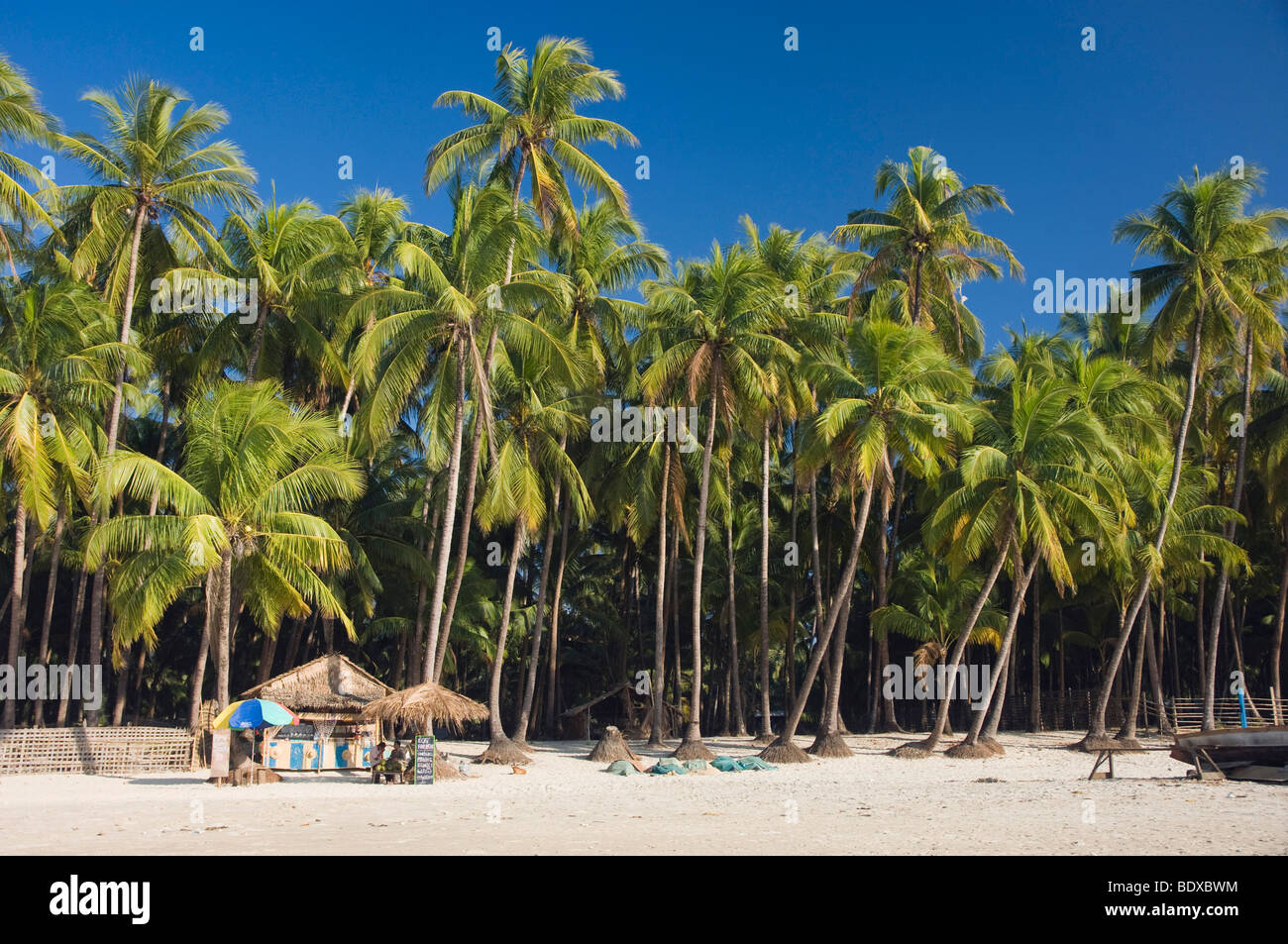 Palm beach, Ngapali Beach, Thandwe, Rakhine Coast, Bay of Bengal, Burma ...
