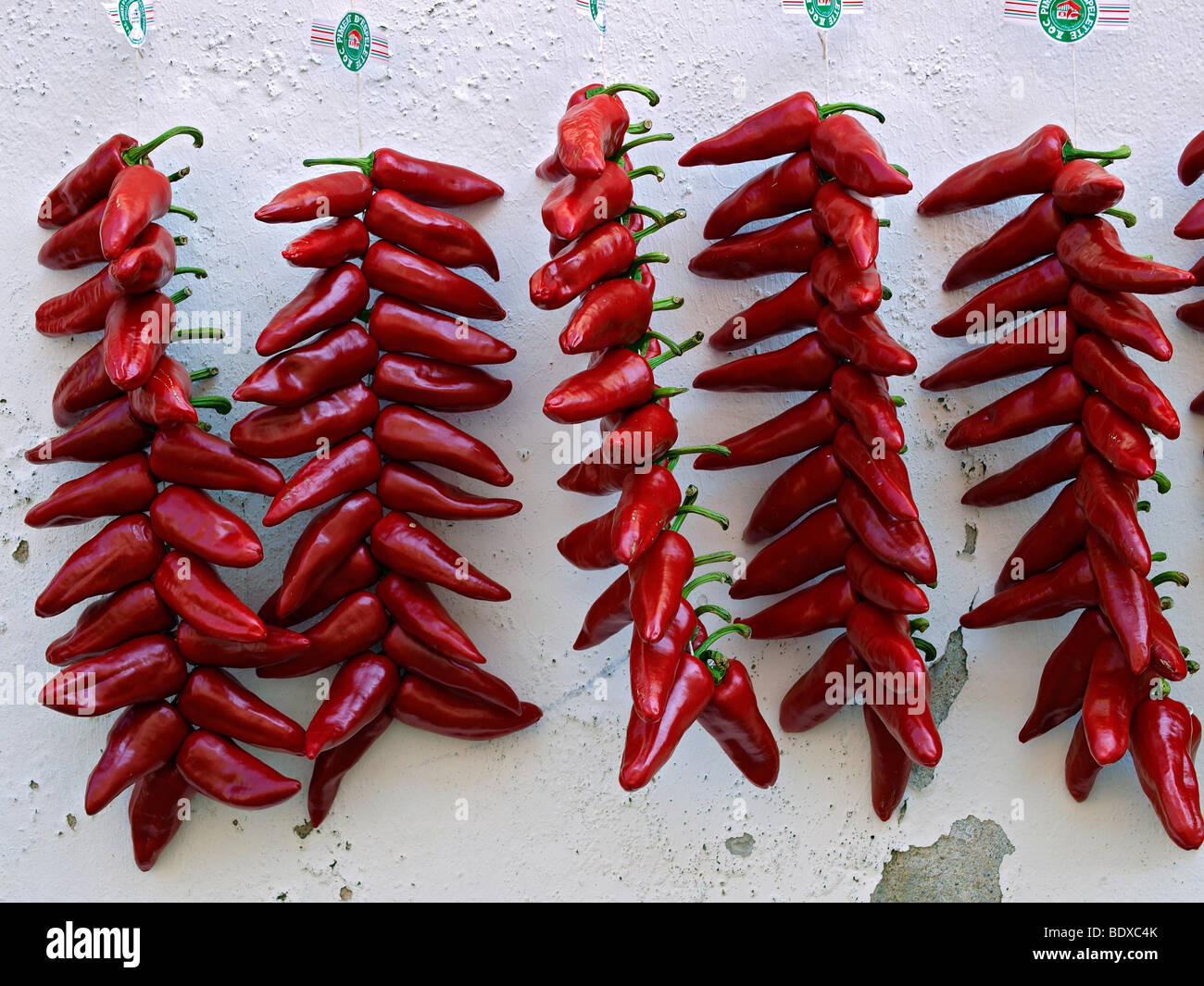 Red peppers at Espelette, Pays Basque, France Stock Photo - Alamy