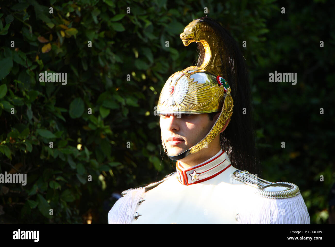 Close-up of Italian guard of honour at the Quirinale, the Italian ...