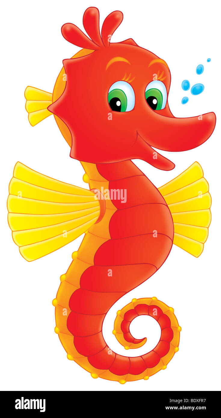 Horse fish hi-res stock photography and images - Alamy