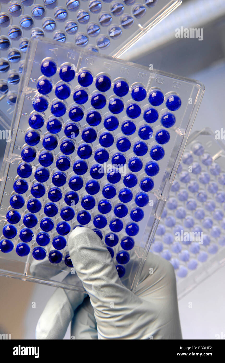 Lab researcher plate hi-res stock photography and images - Alamy