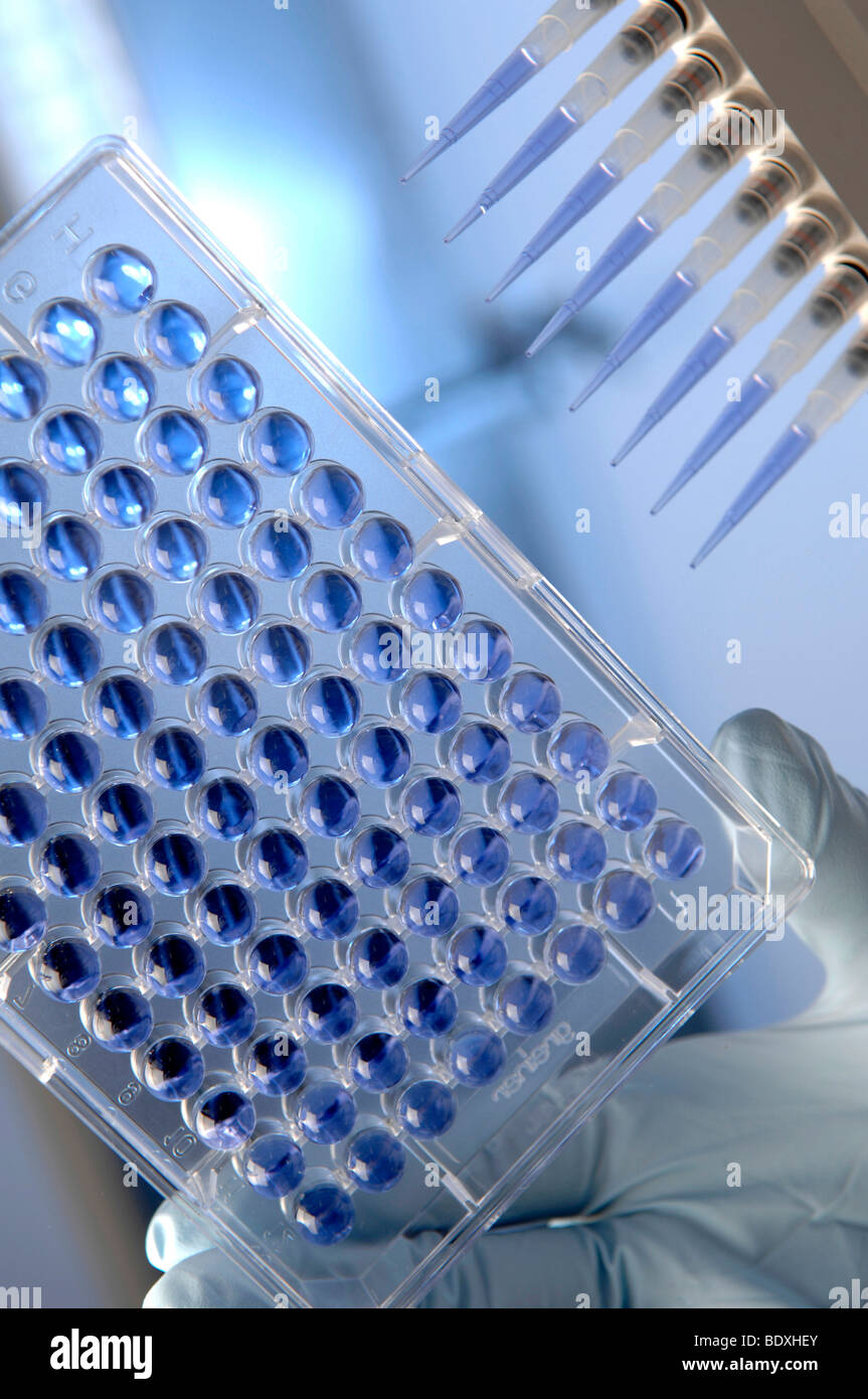 Laboratory test with a so-called well plate at a research company ...