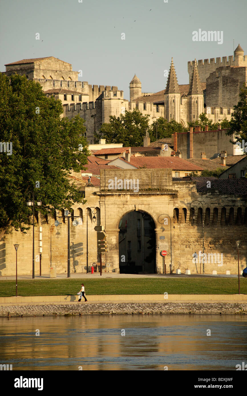 Cityscape with Palais des Papes, Pope's Palace, city gate and river ...