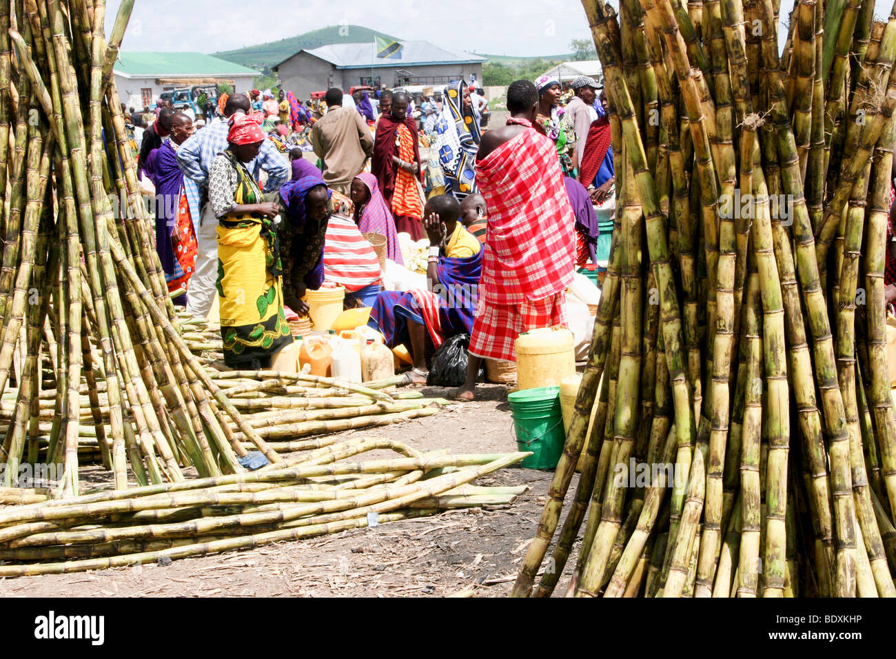 Africa, Tanzania, Frontier Market selling sugar cane The goods are ...