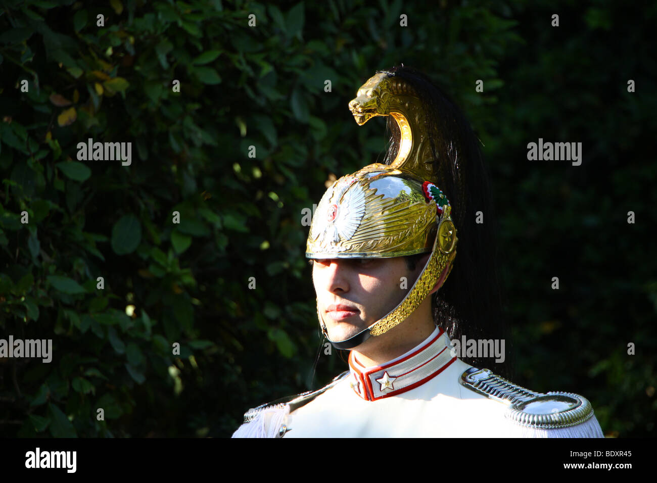 Close-up of Italian guard of honour at the Quirinale, the Italian ...