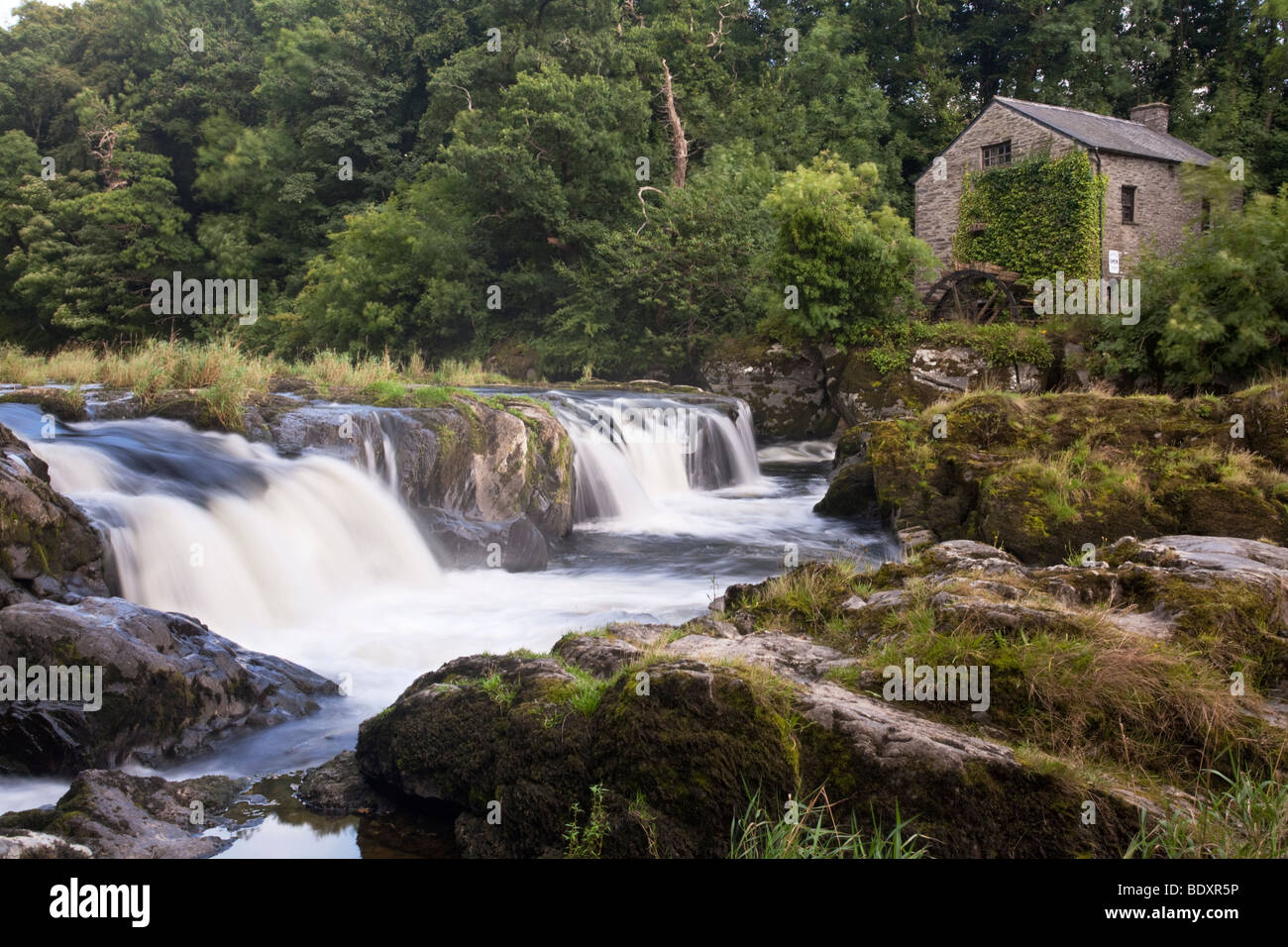 Cenarth falls hi-res stock photography and images - Alamy
