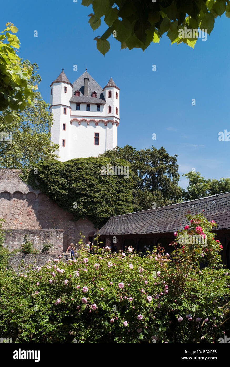 Eltville castle hi-res stock photography and images - Alamy
