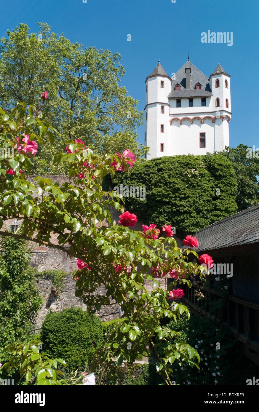 Electoral castle in eltville hi-res stock photography and images - Alamy