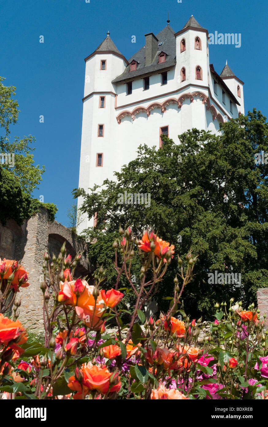 Mainz castle hi-res stock photography and images - Alamy