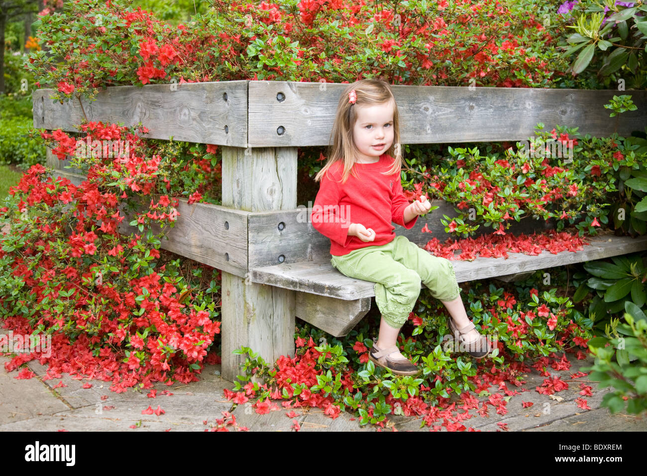 Toddler on a park bench Stock Photo - Alamy
