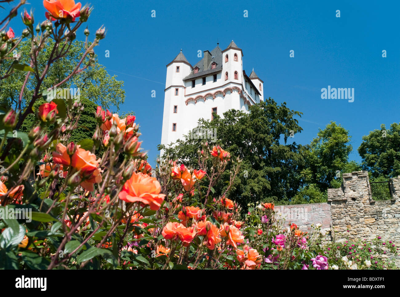 Electoral mainz castle hi-res stock photography and images - Alamy