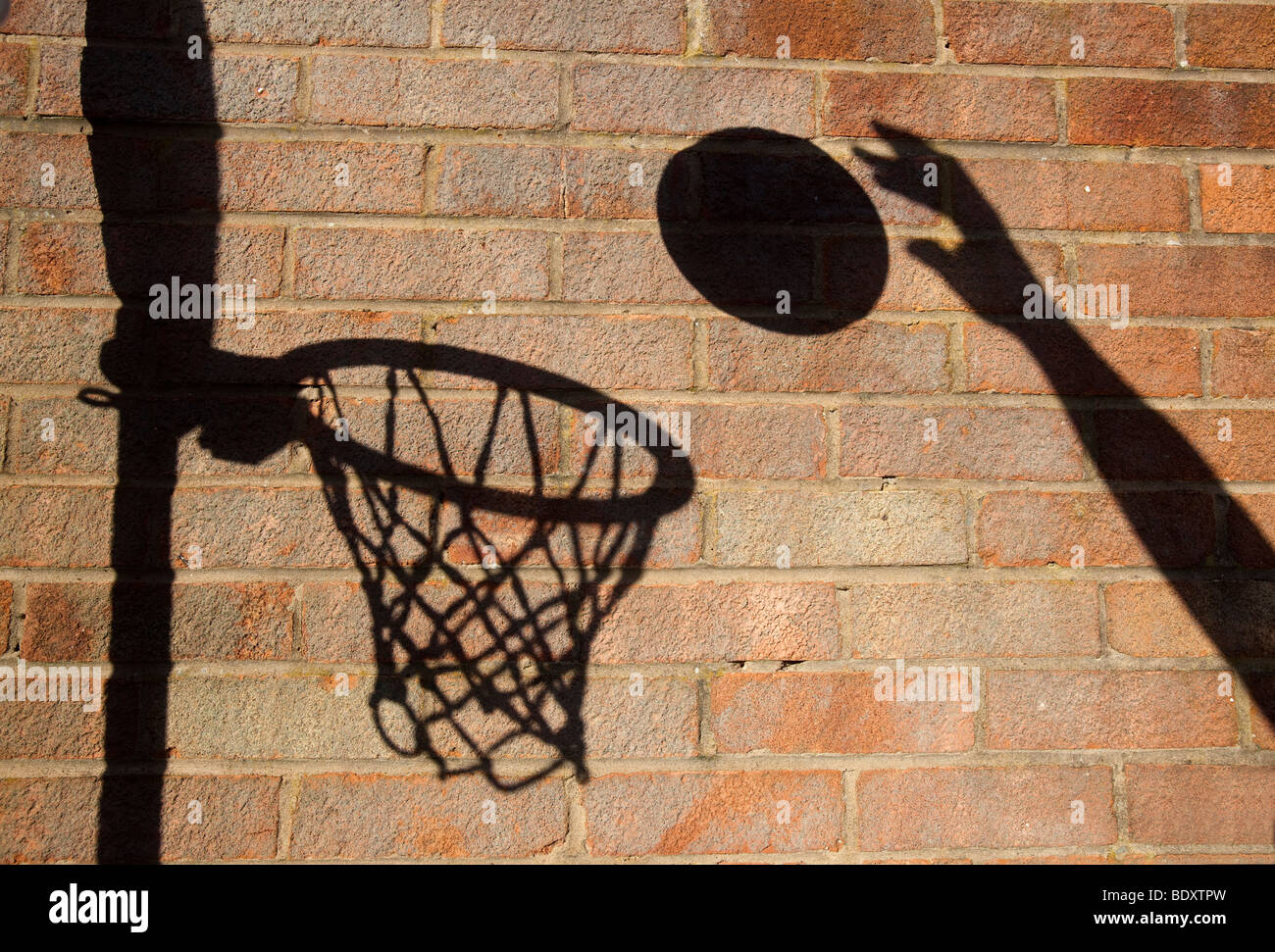 A basket ball hoop and ball cast a shadow on a brick wall Stock Photo ...