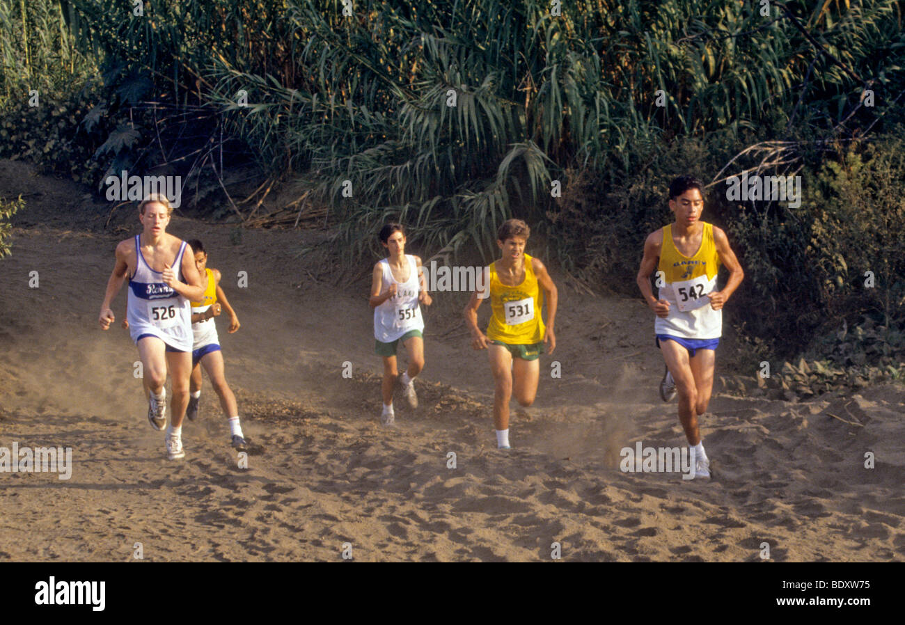 mix race Hispanic Latin Mexican-American ethnic race racial minority ...