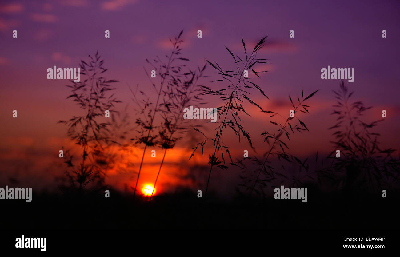 Bermatingen baden wurttemberg germany hi-res stock photography and images - Alamy