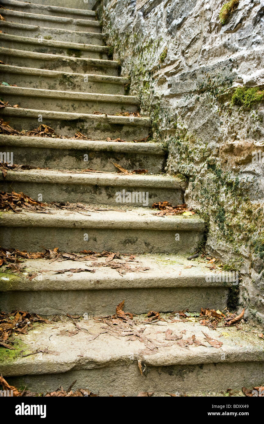 the old cracked stone stairs Stock Photo - Alamy