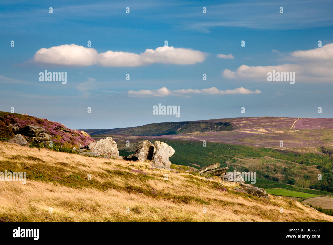Urra moor from Hasty Bank on the Cleveland Way, North York Moors ...