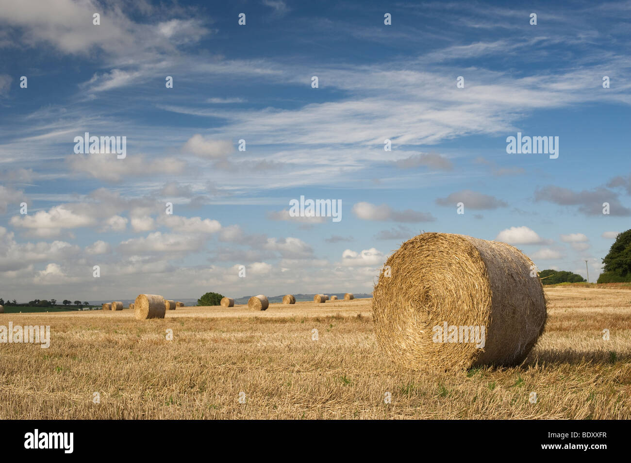 English harvest hi-res stock photography and images - Alamy