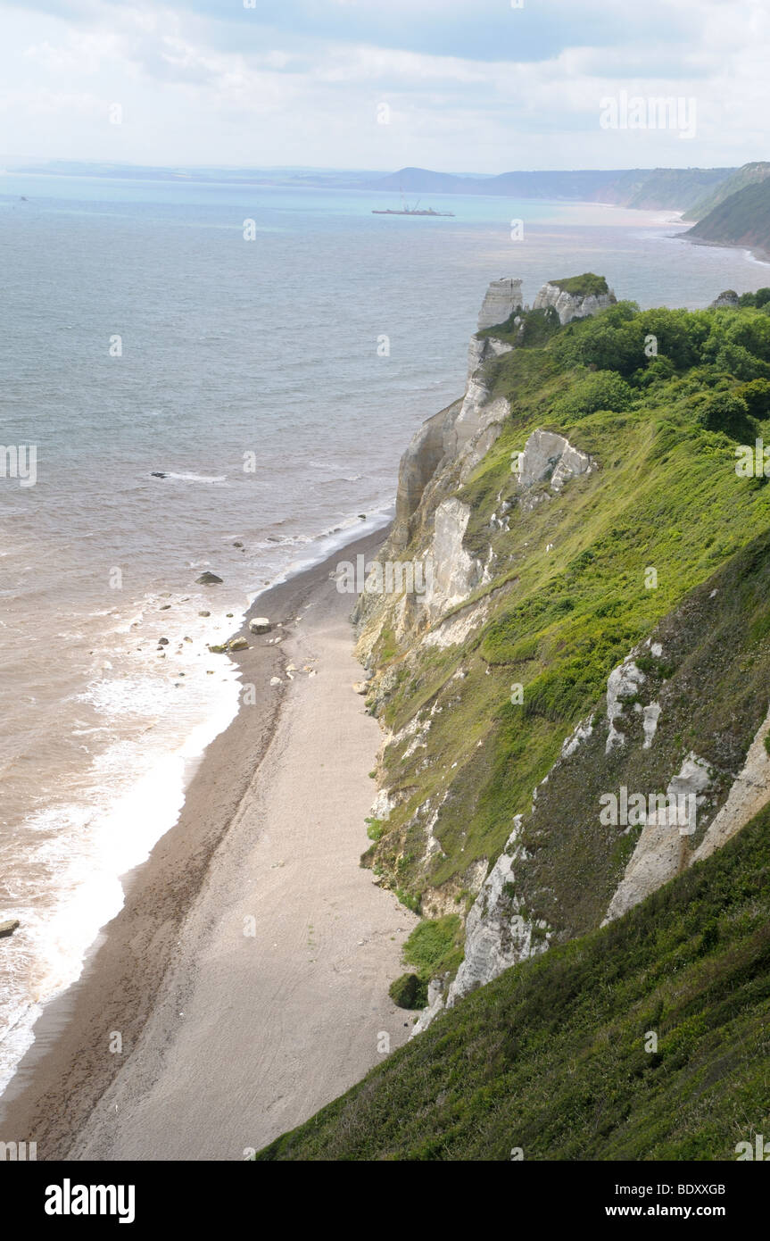 White chalk cliffs of devon hi-res stock photography and images - Alamy
