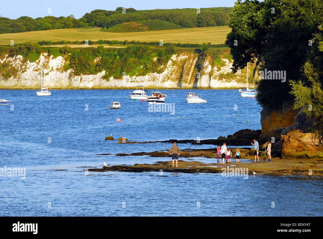 Studland bay dorset hi-res stock photography and images - Alamy
