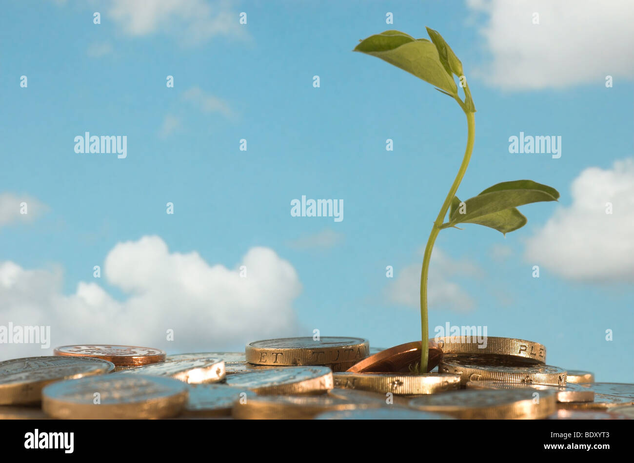Money growth hi-res stock photography and images - Alamy