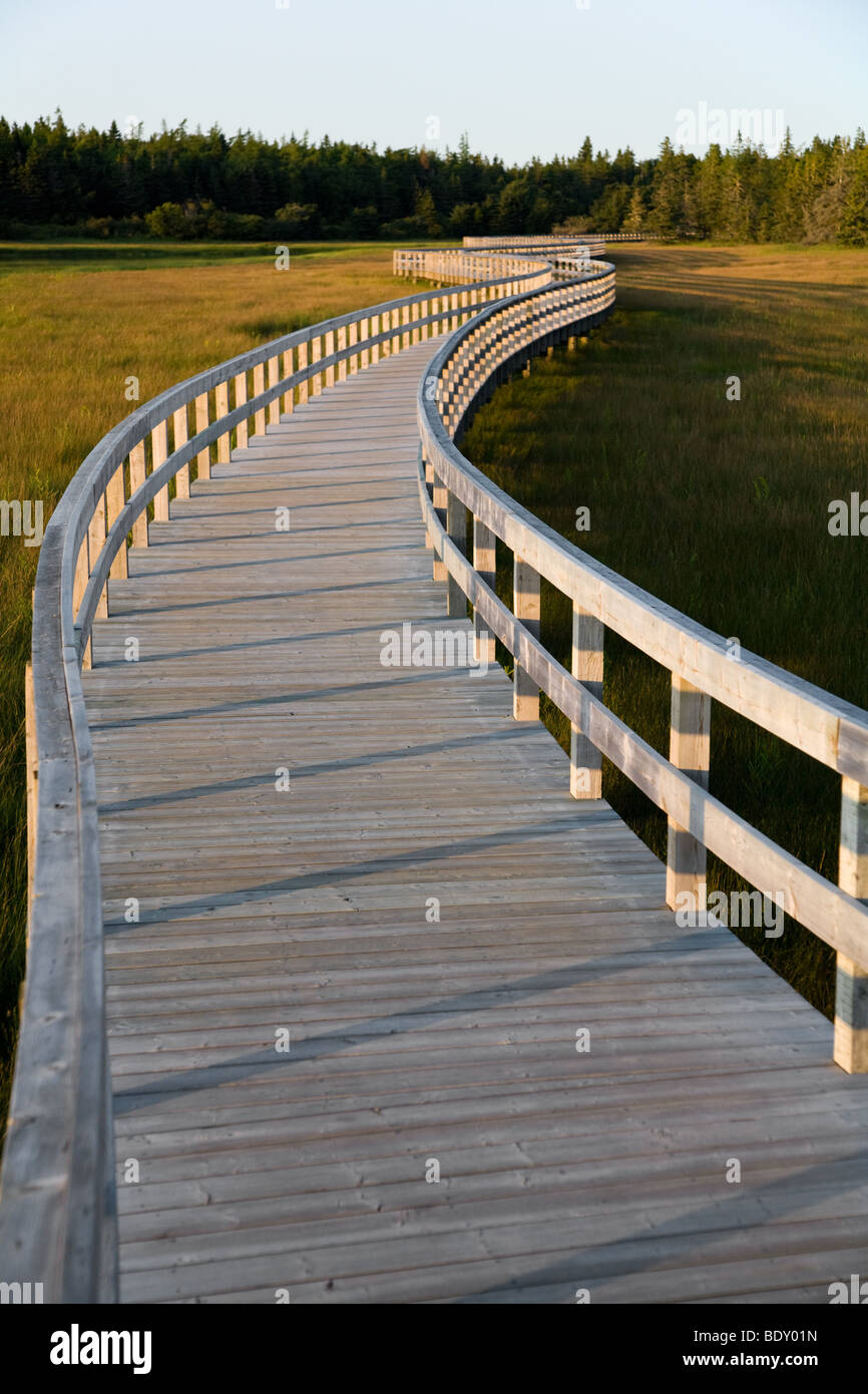 Winding bridge over a marsh Stock Photo - Alamy